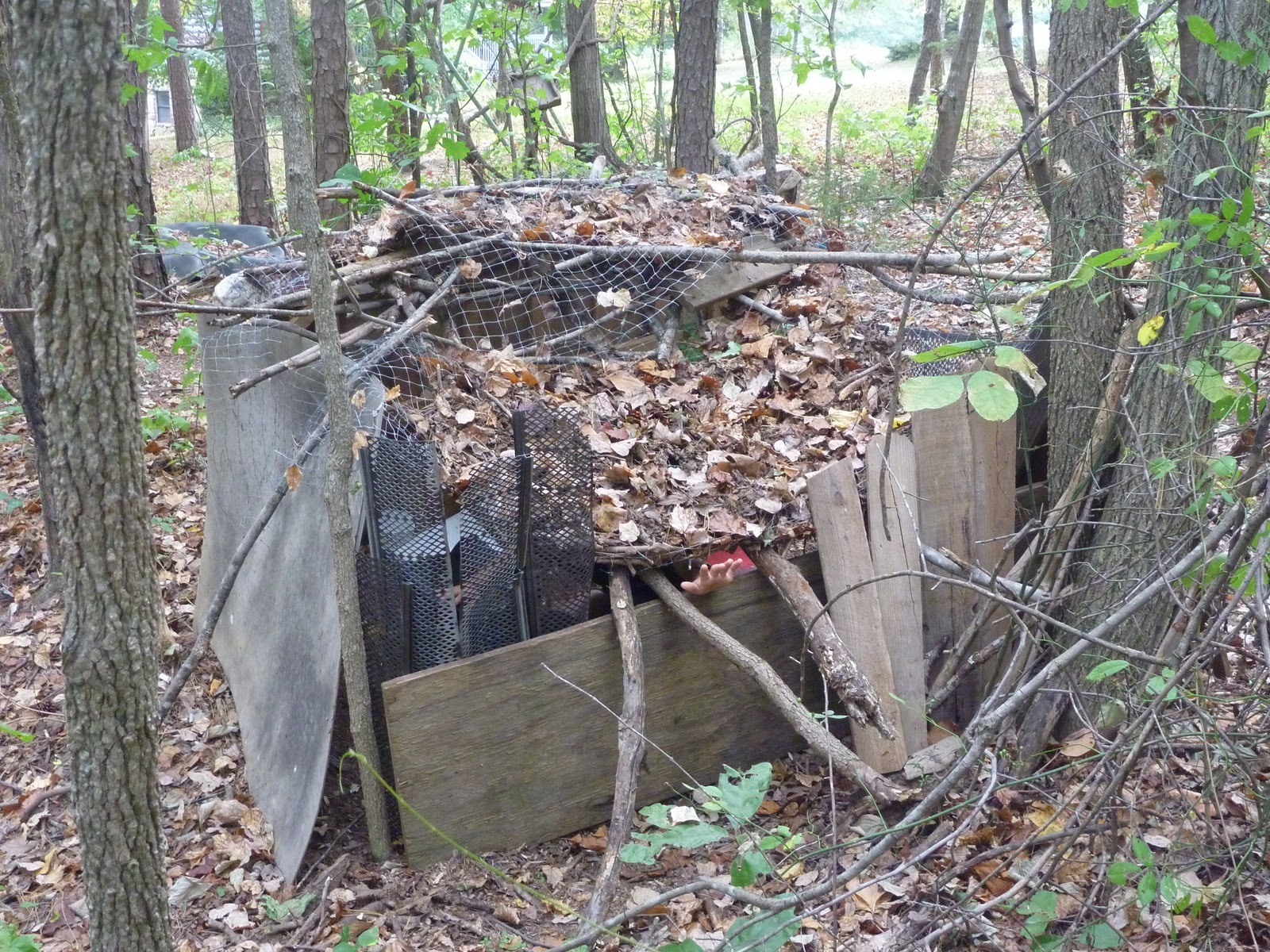 Johnson's Journal Jotter: Woodland Hideouts