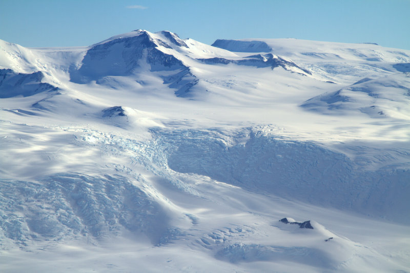 A Day in the Life...: Otters, Penguins and Seals..oh my!