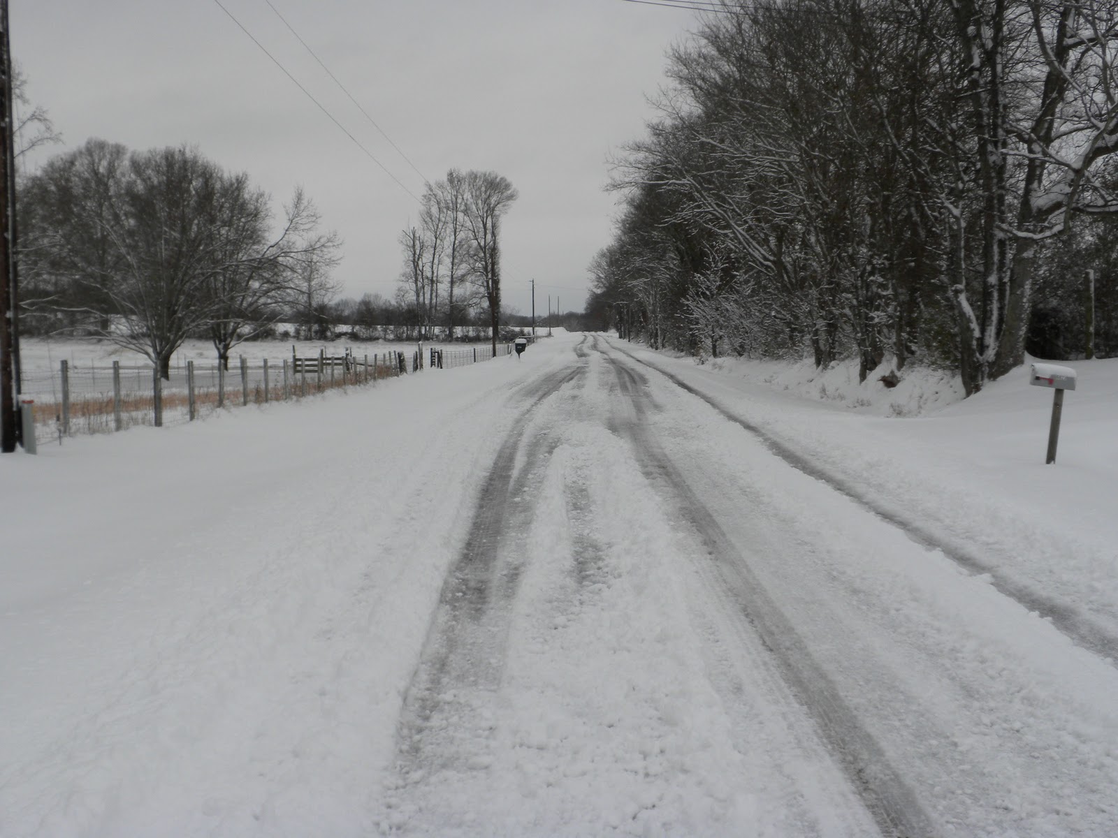 A Meek Perspective: Alabama Snow