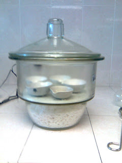 EQUIPO 9: PRÁCTICA No. 2 DETERMINACIÓN DE LÍPIDOS (EXTRACTO ETÉREO)