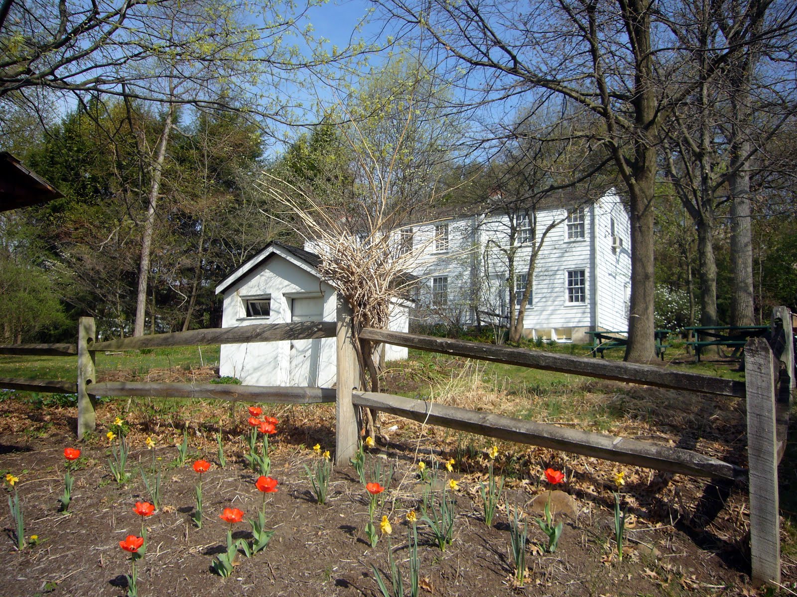 diamondposte: rachel carson homestead