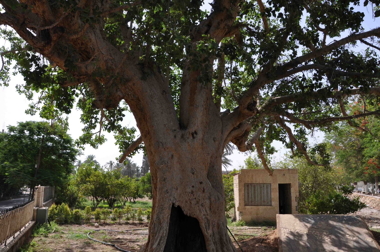 apuisrael2010: Day 6