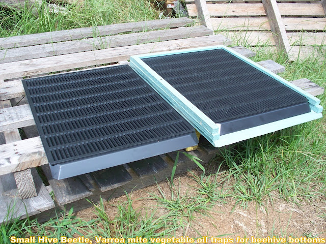 BEEKEEPING Beekeeper Honey Bees Pollen Wax Candle Propolis Queen Nuc ...