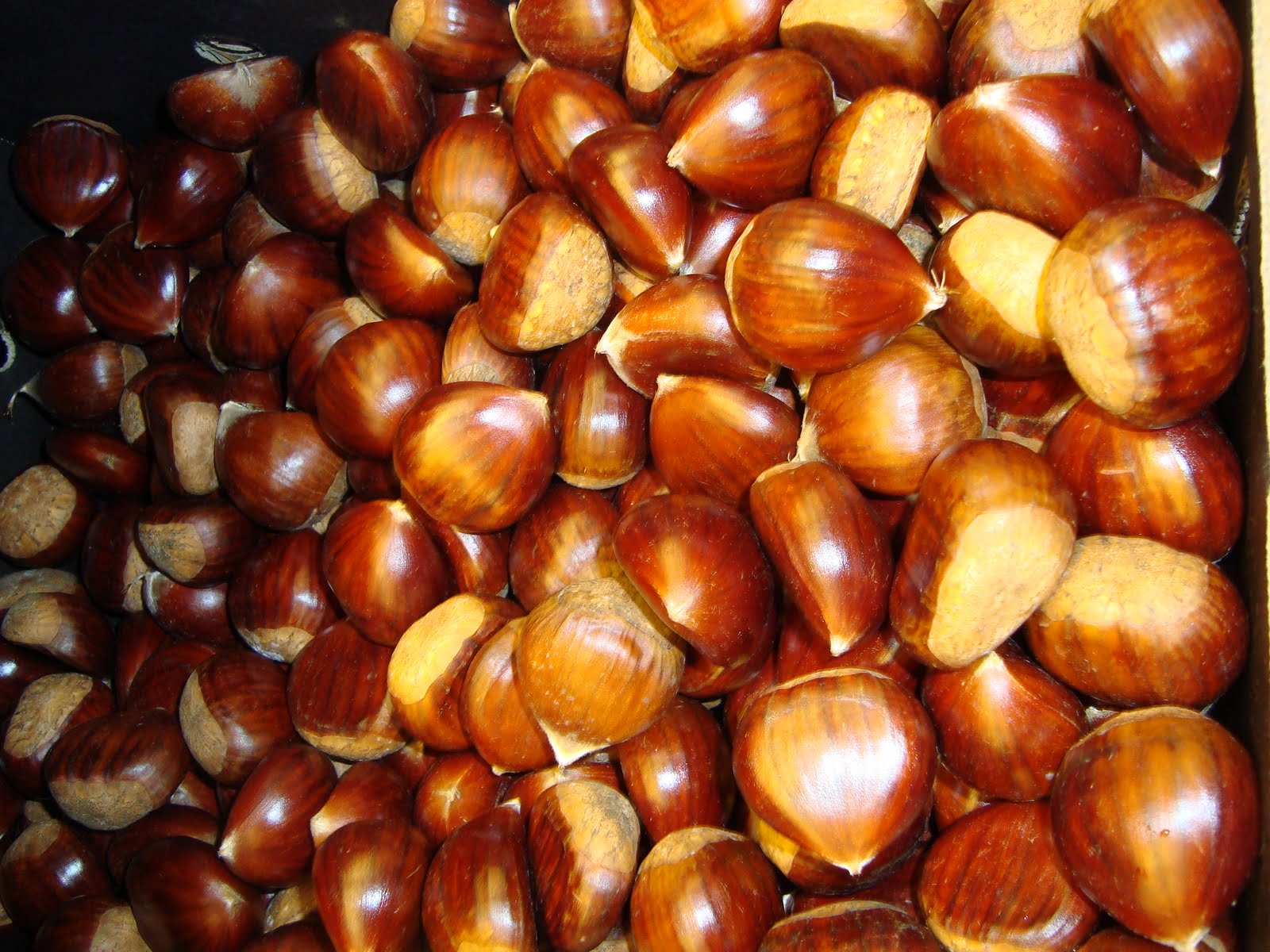 KĀJĀM GAISĀ: Kastaņi zied