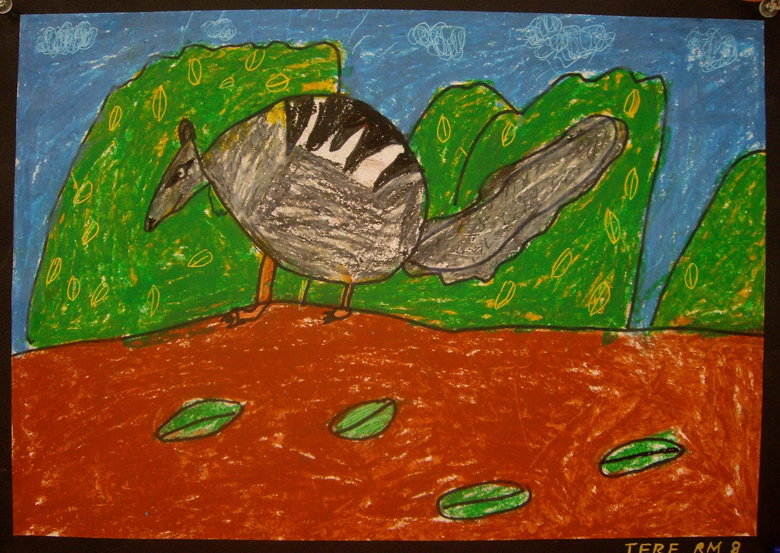 Use Your Coloured Pencils: Numbat Drawings