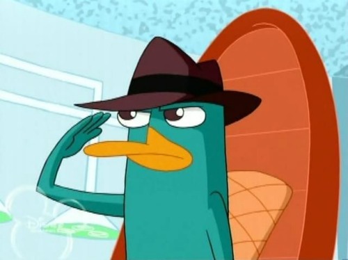 Perry el ornitorrinco phineas y ferb bebé - Imagui
