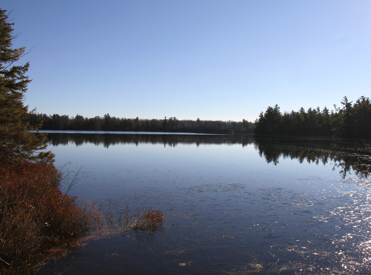 ShutterWi: We went Elk hunting today. Clam Lake Wisconsin.