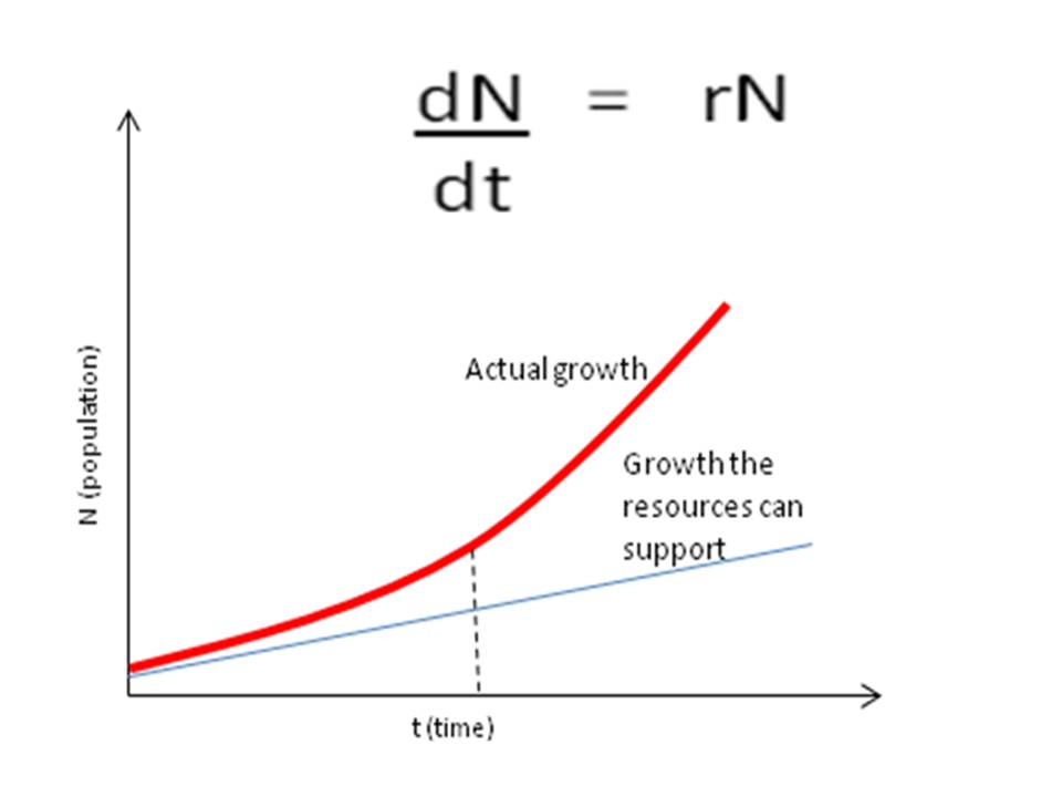 Priori Incantatem: Growth Curve for E.coli