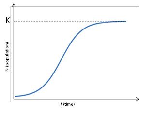 Priori Incantatem: Growth Curve for E.coli