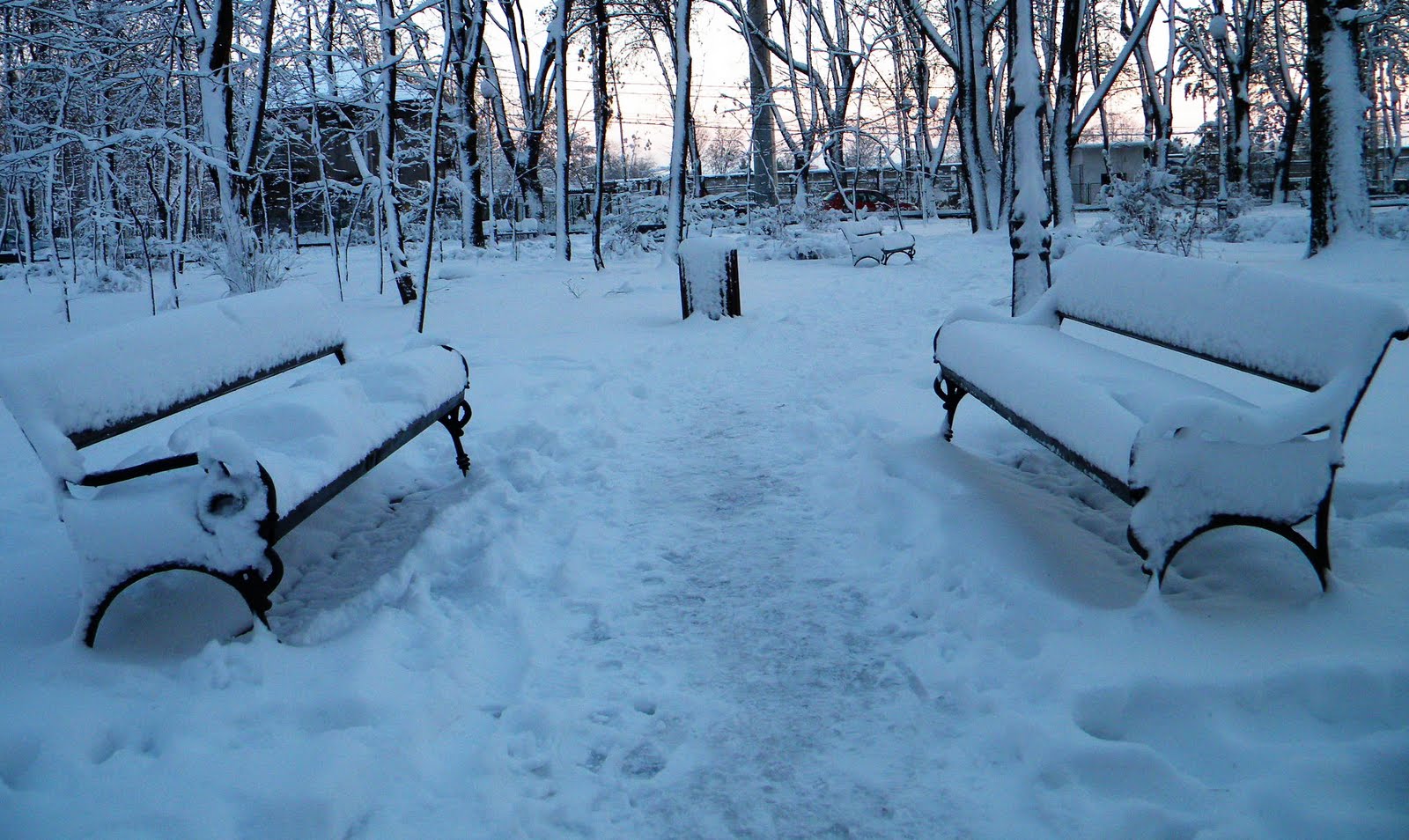 Blogul meu cu poze: decembrie 2010