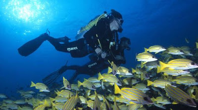TRAVEL INTO WORLD: World ,Under Indian Ocean