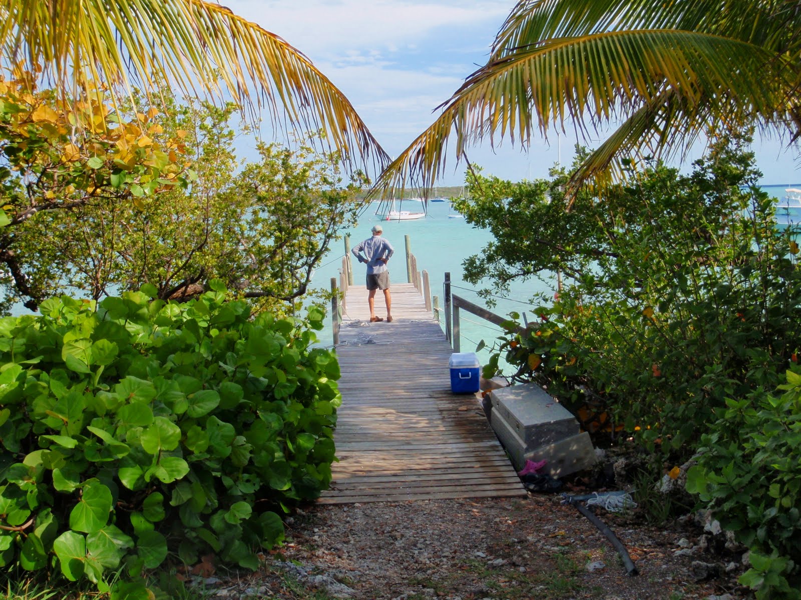 Blue Blazes: Manjack Cay