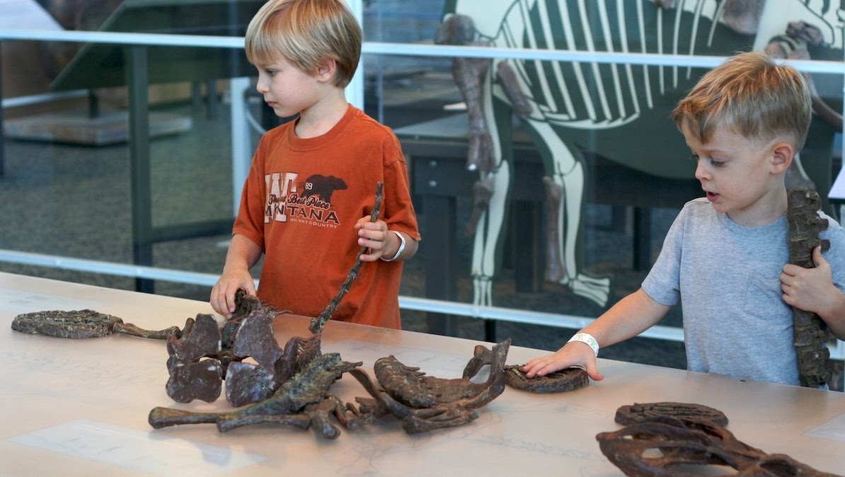 Planted by Streams: Maryland Science Center