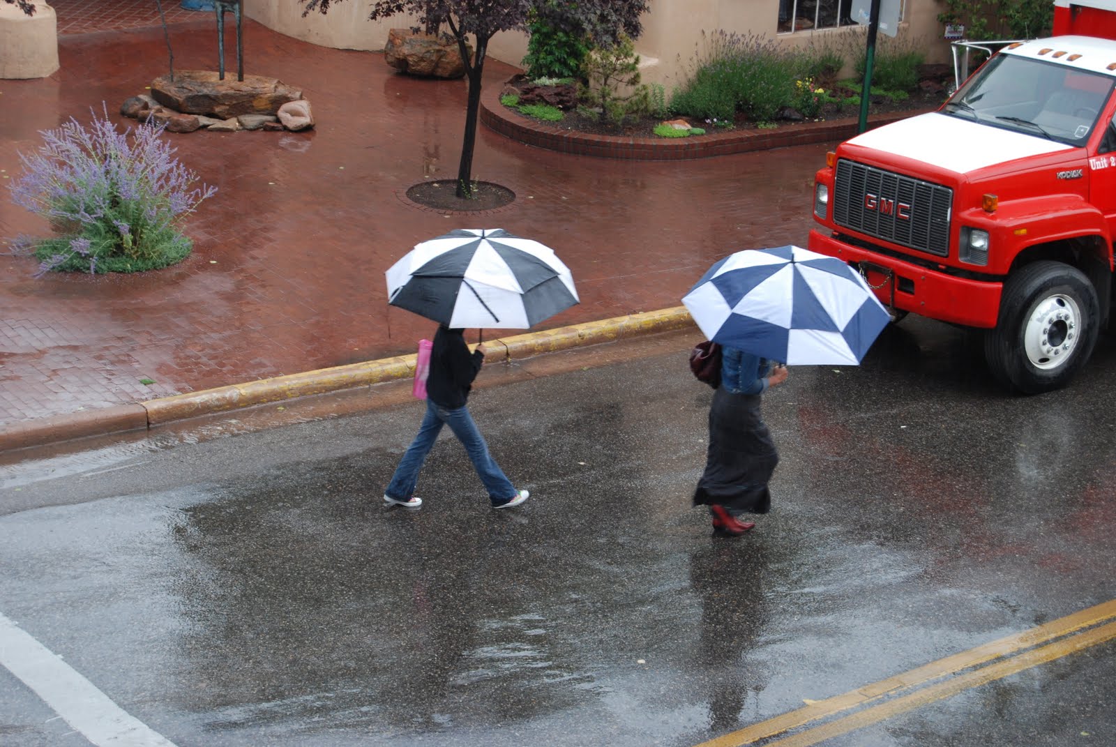 Santa Fe Daily Photo: Rain Rain Almost Everyday!