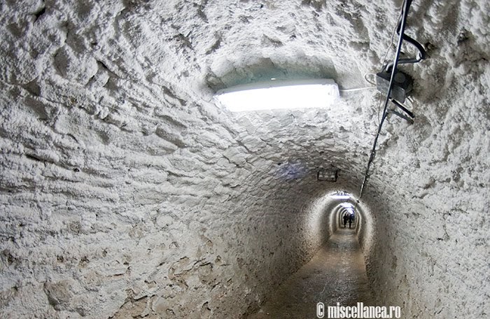 Miscellanea: Salina Turda