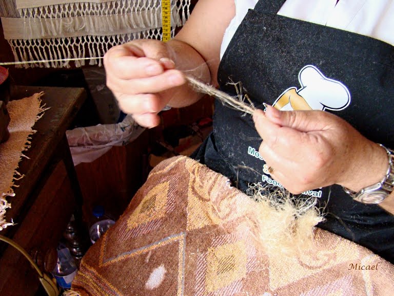 Madeira island - flowers: O LINHO