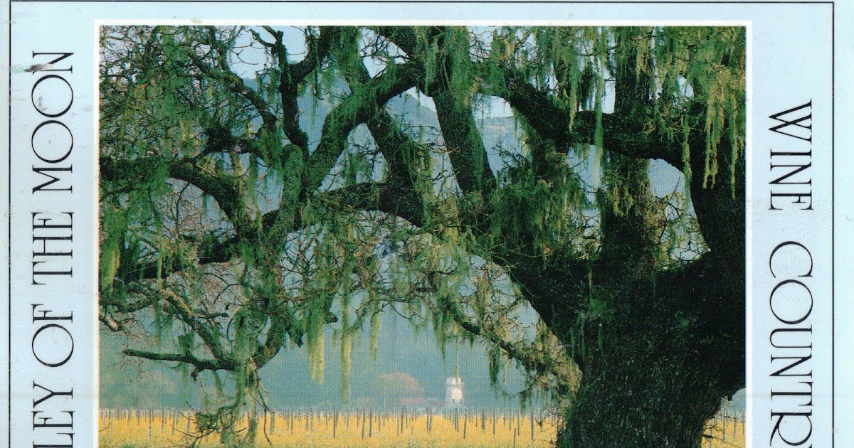 Postally Yours: From a Writer's Window