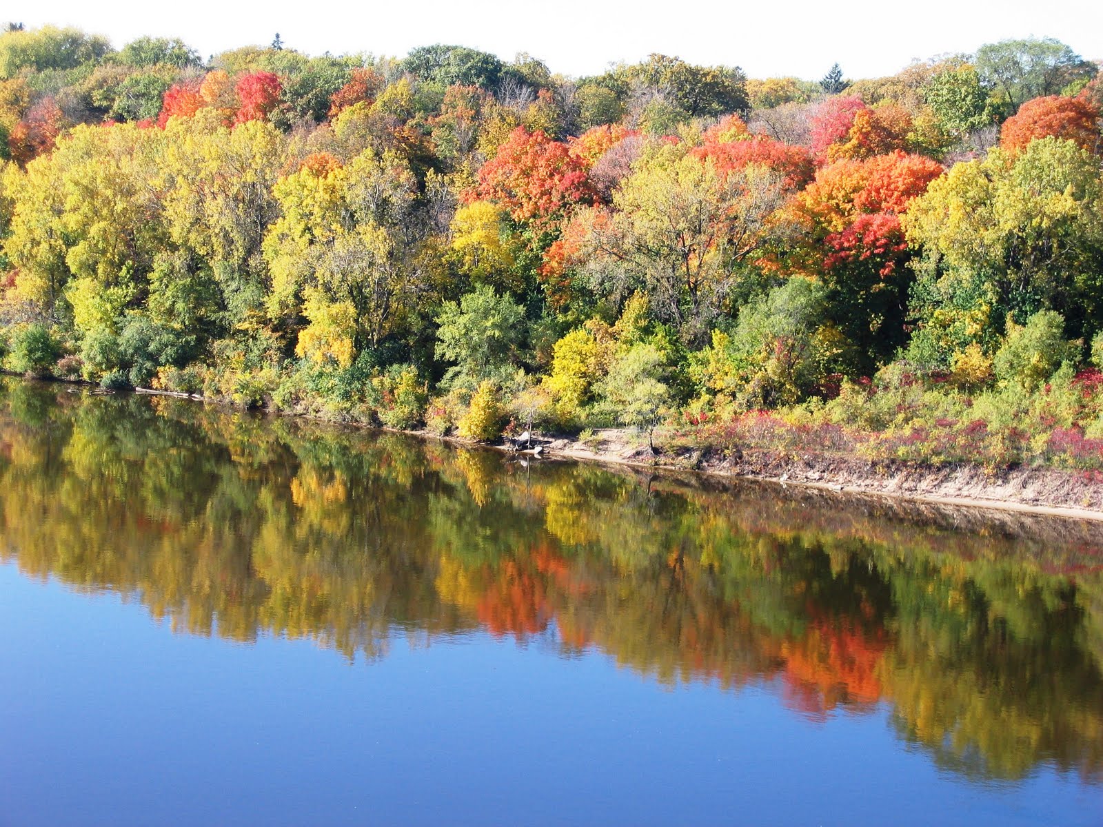 The Wild Reed: The Beauty of Autumn in Minnesota