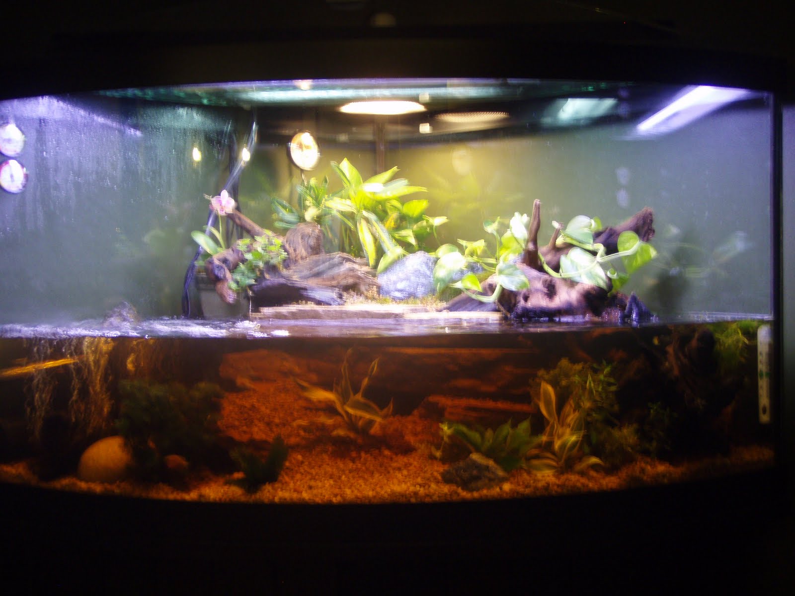 Saint Brian's Chronicles: River Tank Aquarium