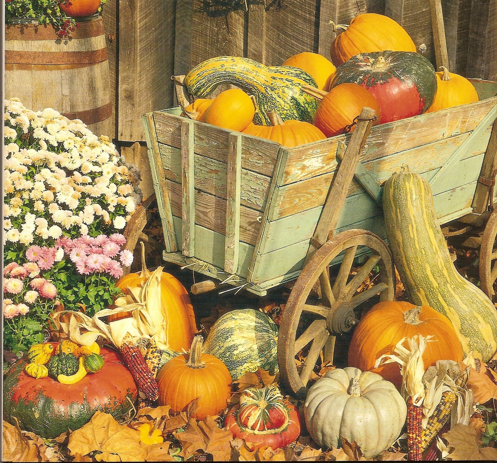 Pats Posts: Happy Thanksgiving and Reverie