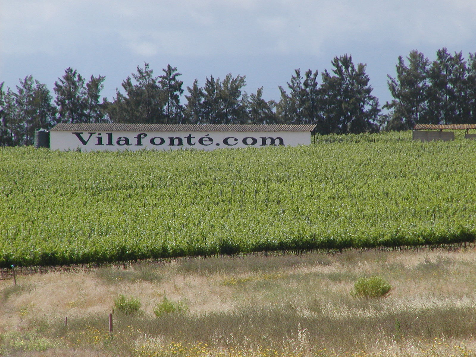 the vilafonte wine blog: On the release of our 2007 Vilafonte Series C ...