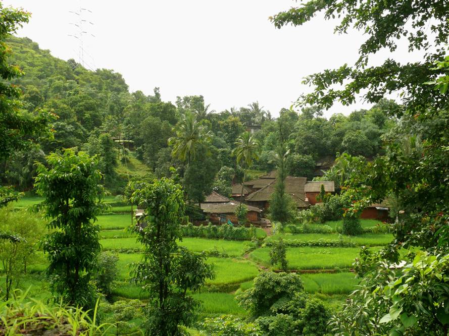 Konkan: Typical Village in Kokan