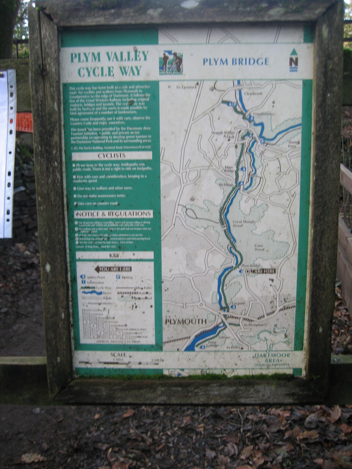 INSPIRED WALKS AROUND DEVON: Plymbridge Woods - Sunday 12th December 2010