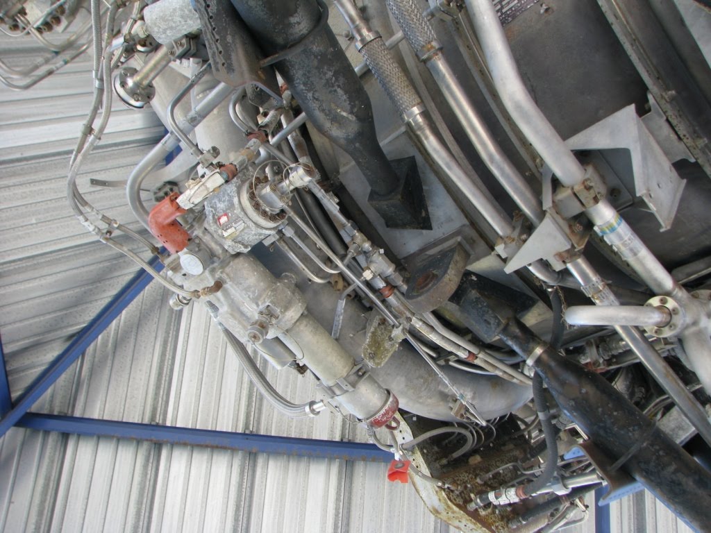 3 Dog Days: The StenniSphere!