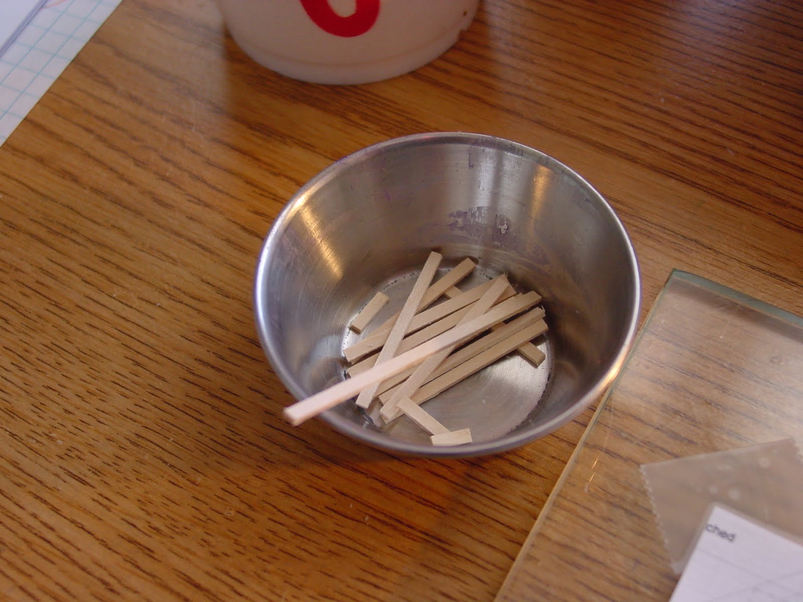 Building The Okefenokee Swamp Model Railroad in On30