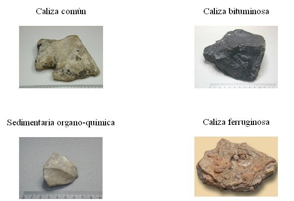 La caliza: INTRODUCCIÓN