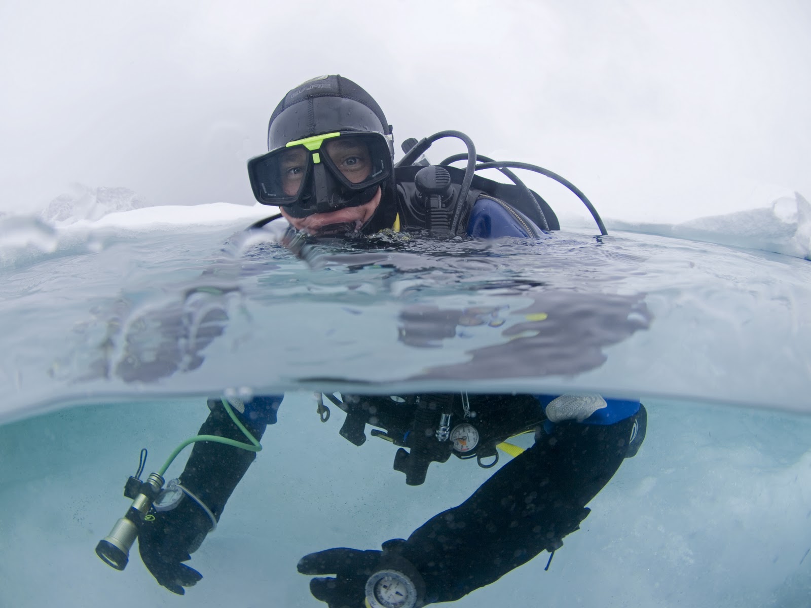 Expedition Cruising | Adventure Cruising | Small Ship Cruises: AURORA ...