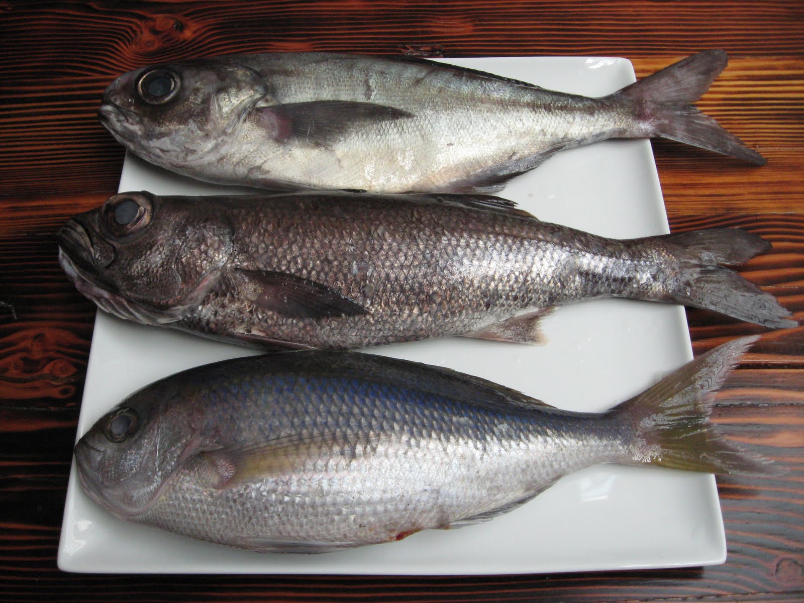 66 SOUTH 2ND STREET BROOKLYN NY: June 2010