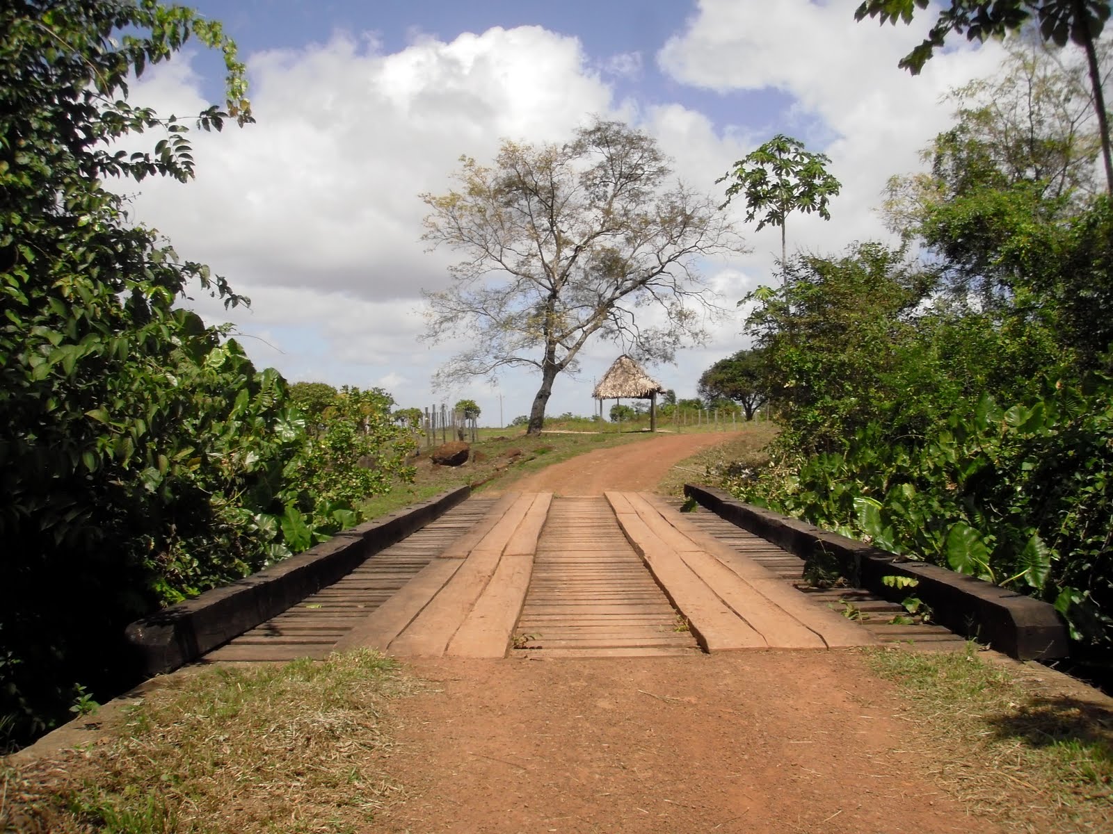 guyanatrip: Tuesday's visit to Moco Moco village and falls