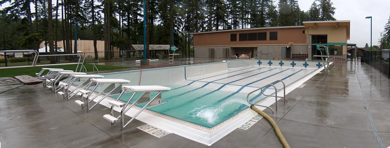 Veneta Pool Construction Blog