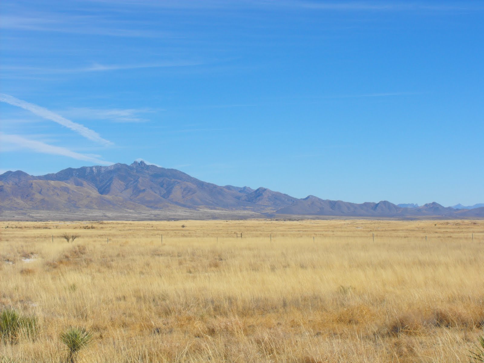 Wanderings through Arizona: Southern grasslands