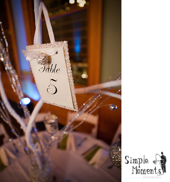 Simple Moments Photography: Tierney & Casey: Old Red Courthouse