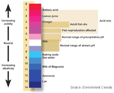 Dr Will McCarthy's Science Site: pH and acid rain around the US