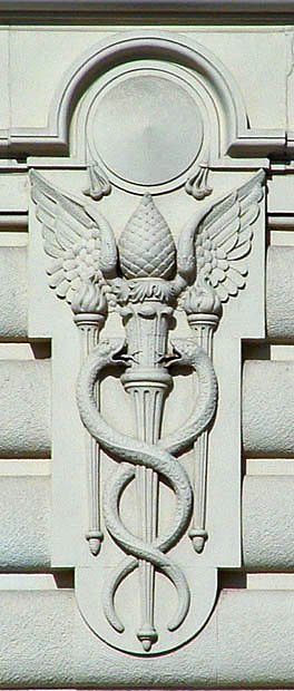 Traditions: THE SPIRAL AND THE WORLD TREE