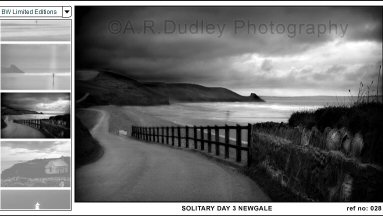 Naturally Beautiful: December 2010