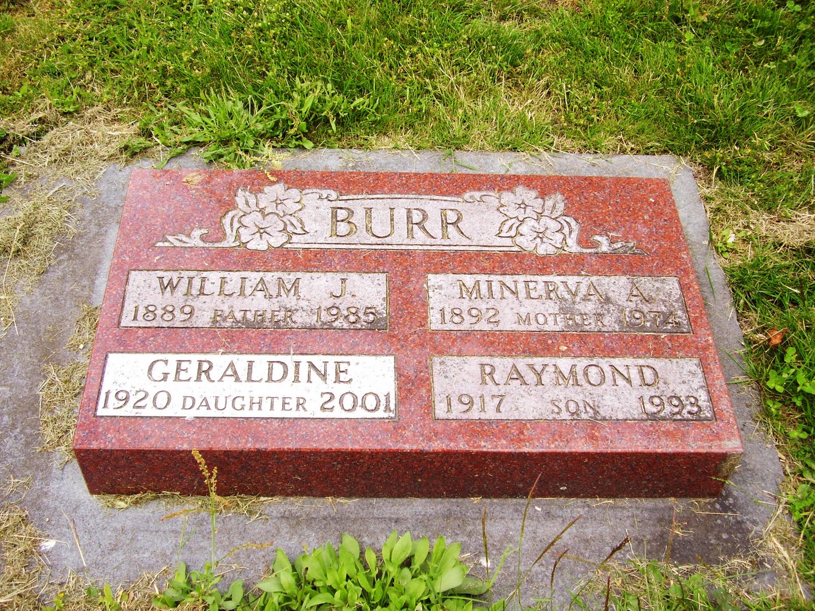The Graveyard Rabbit of British Columbia, Canada: Graveyard Rabbits ...