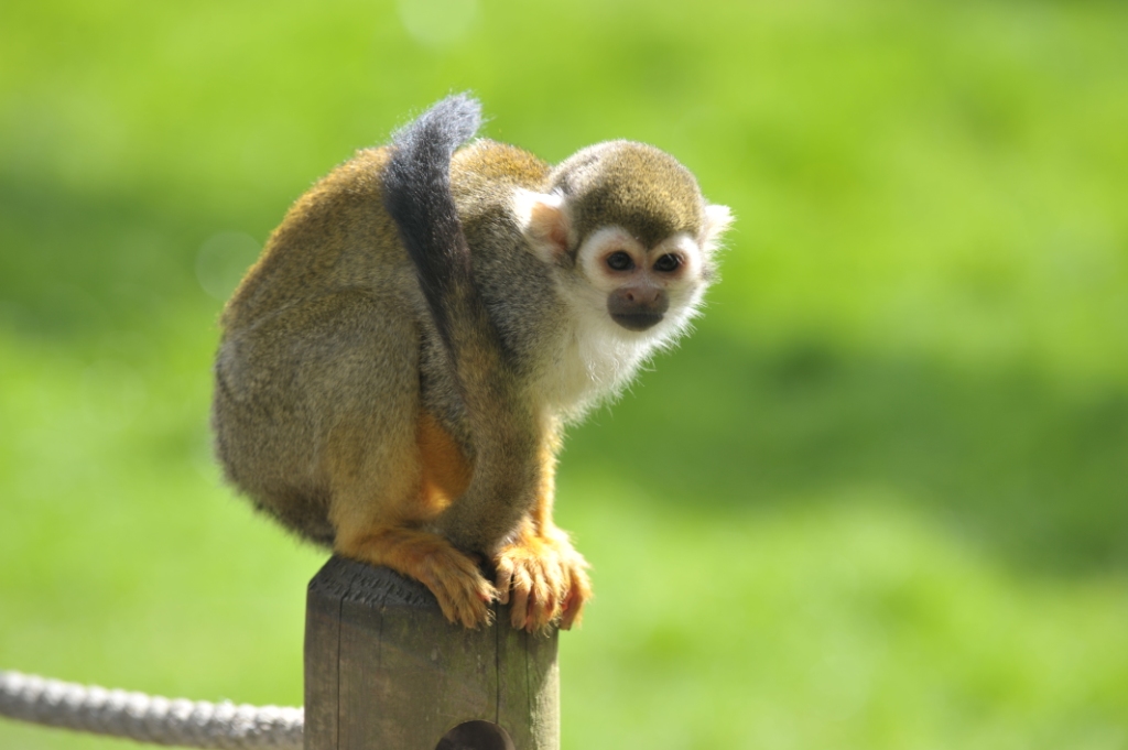 BlackLOG: Focus on 2010 an A to Z picture guide