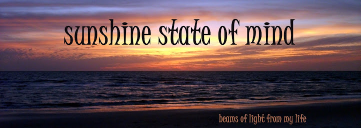 Sunshine State Of Mind June 2010 sunshine-state-of-mind-june-2010