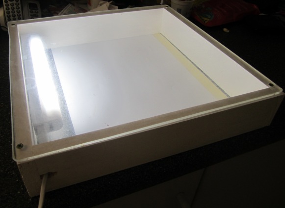 Arlene's Blog: January 2011