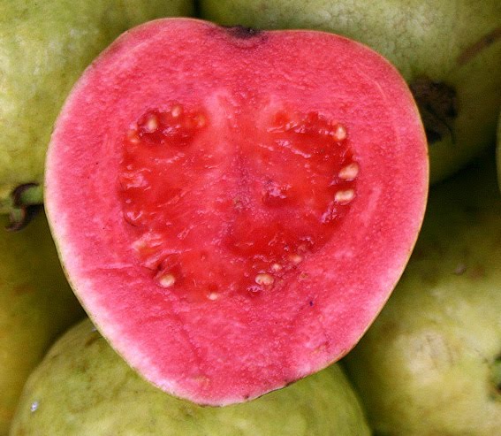 Flavors of Brazil: RECIPE- Guavas in Syrup (Goiaba em Calda)