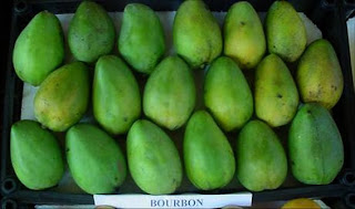 Flavors of Brazil: A Rainbow of Mangoes