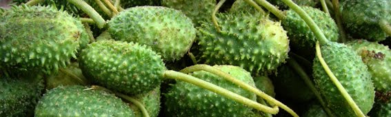 Flavors of Brazil: Maxixe - A Vegetable and a Dance