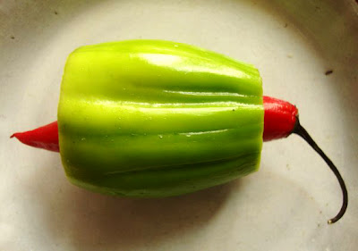 Flavors of Brazil: RECIPE - Spicy Stuffed Gilo (Jiló com Pimenta)