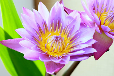 The Circus: March 2010