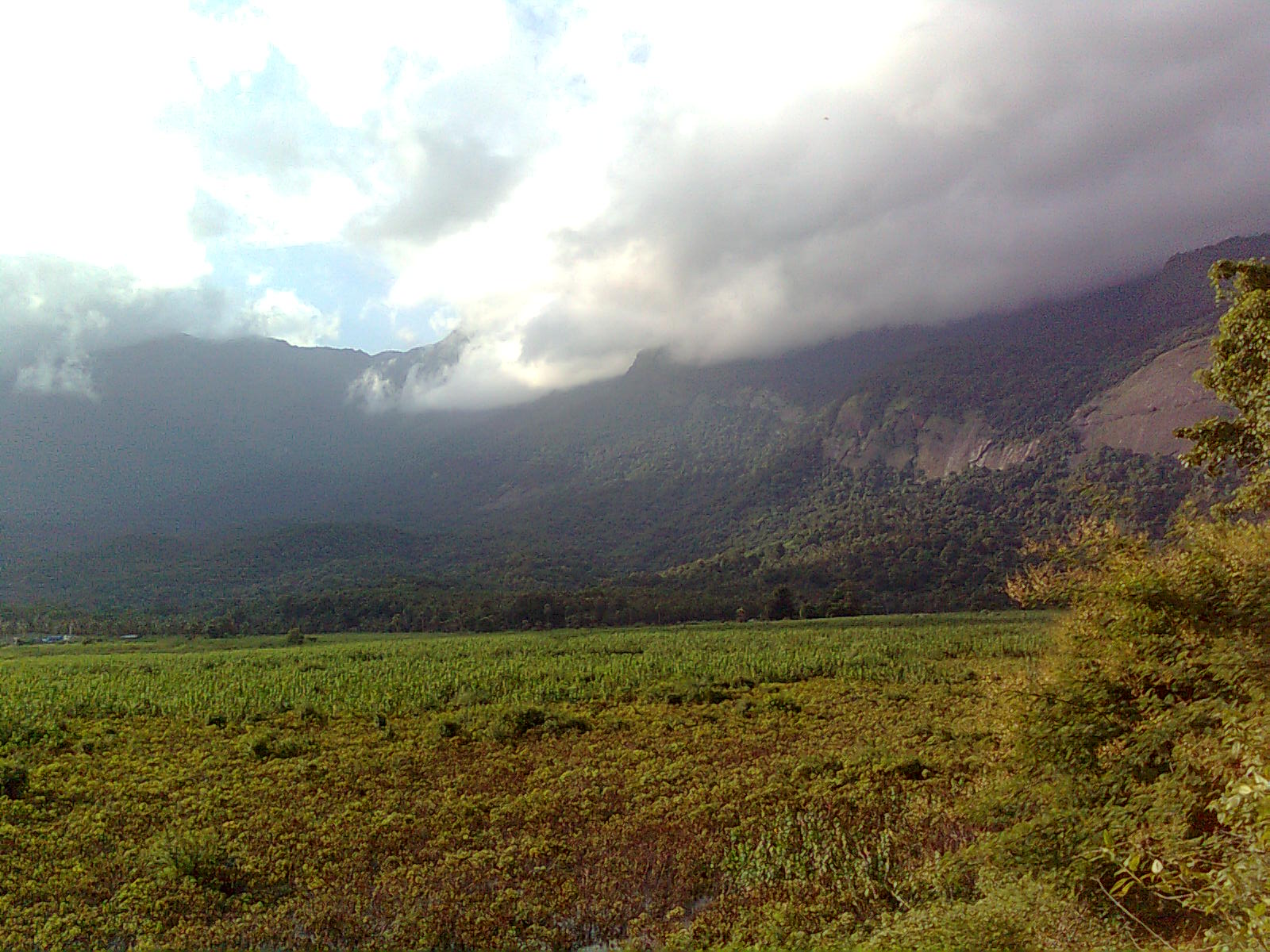 MY JOURNEYS: ANAKKAL a place near The MALAMPUZHA IN PALAKKAD