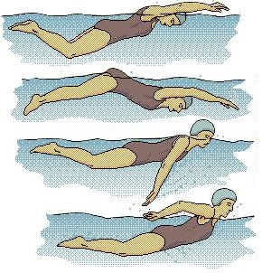 natació: LES DIFERENTS TÈCNIQUES DE LA NATACIÓ